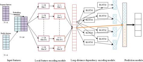 Deepaclstm Deep Asymmetric Convolutional Long Short Term Memory Neural