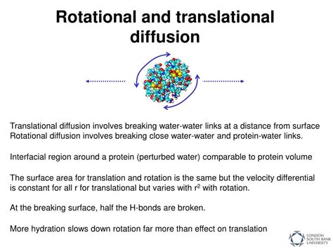 Ppt The Importance Of Water In Cell Biology Powerpoint Presentation