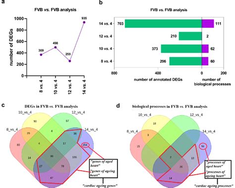 Overview Of Degs And Over Represented Biological Processes In Fvb Vs