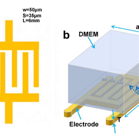 Schematic Finite Element Method Fem Model Of Interdigitated