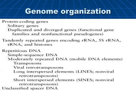 Ppt Genome Powerpoint Presentation Free Download Id 195722
