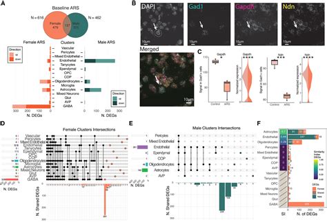 Sex Shapes Cell Type Specific Transcriptional Signatures Of Stress