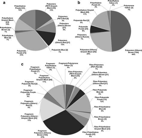 Characterization Of Extracted Microplastic Particles From Indian Sea