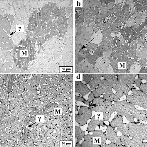 Optical Micrographs Of Ni 53 Mn 22 Co 6 Ga 19 100 X Y X X 0