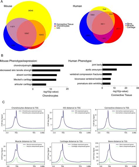 Chip Seq Identifies Active Regulatory Elements In Ais Associated