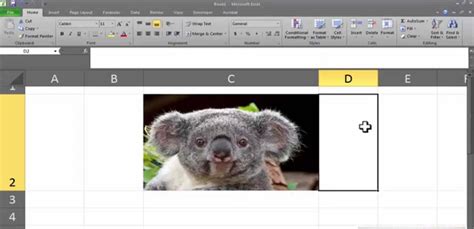 how to insert animated images in excel 2007 2010 2013 2016