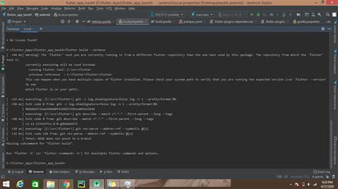 dart the built failed likely due to androidx incompatibilities in a