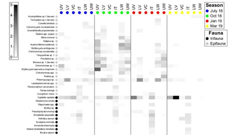 Shade Plot Of The Dispersion Weighted And Square Root Transformed Of