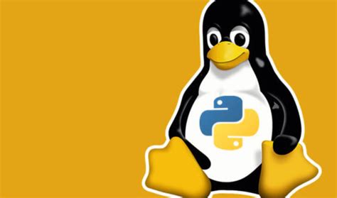 learn to code online pi my life up