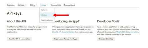 how to integrate and use mailchimp with wordpress theme junkie