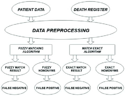 data preprocessing fuzzy matching algorithm and match exact algorithm