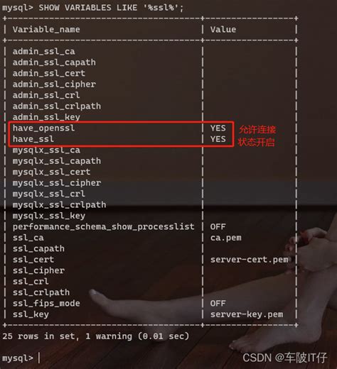 [solved] windows mysql error django db utils operationalerror 2026