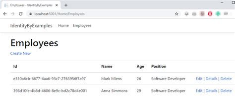 introducing identity to the asp core project code maze