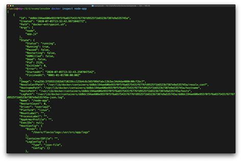 working with docker containers from the command line