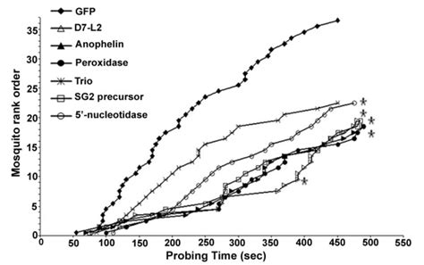 Transcriptomic And Functional Analysis Of The Anopheles Gambiae
