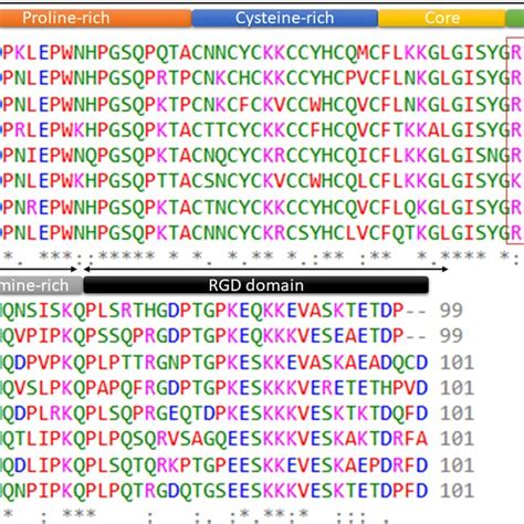 Multiple Sequence Alignment Of Various Hiv 1 Tat Subtypes From Top To