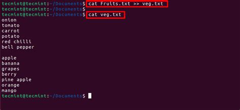 22 essential cat command examples for linux users