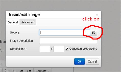 tinymce responsive filemanager with tinymc in laravel 4 stack overflow