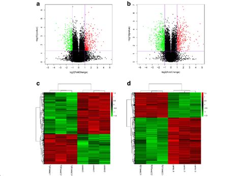 Gene Expression Profile Differences Between The Tgf β 2 Group Compared