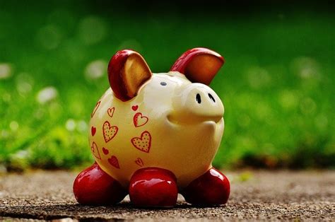 Como Economizar Dinheiro Ganhando Pouco 7 Dicas Simples