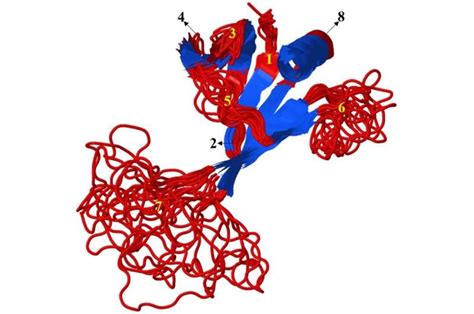 Bioinformatics Computer Programs Help Biologists Understand