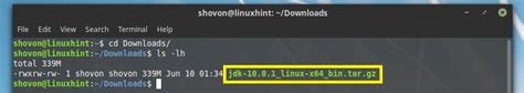 install oracle java development kit jdk 10 on linux mint 19