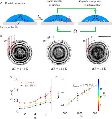 Fast Freezing Kinetics Inside A Droplet Impacting On A Cold Surface Pnas
