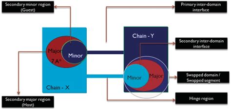 Schematic Representation Of The Different Features Of 3d Domain