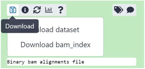 Long Read Structural Variant Calling Bioinformatics Documentation