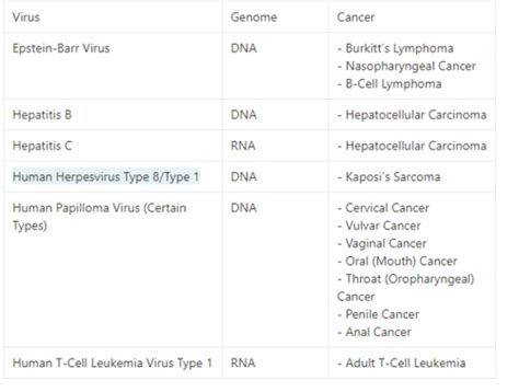 Lecture 4a Oncogenic Viruses Flashcards Quizlet