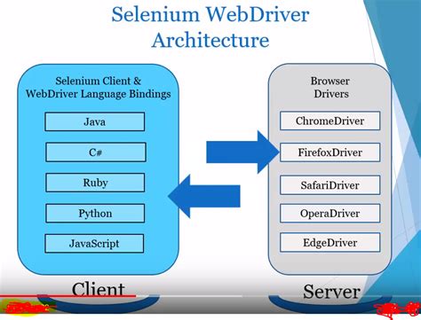 software testing automation testing tutorials introduction of selenium