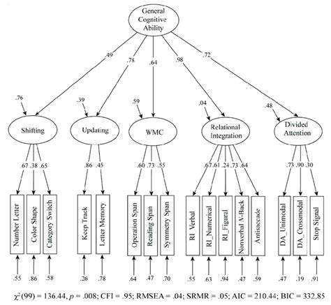 Hierarchical Model Of Cognitive Latent Variables The Proportion Of