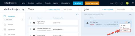 how to set up and use testproject agent in docker container