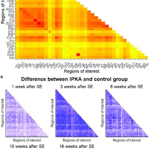 Correlation Matrices A Correlation Matrix At Baseline B Difference