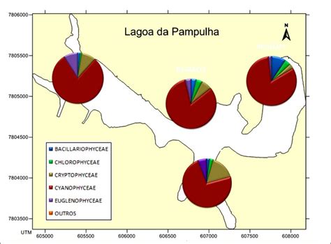 Spatial Variation In The Composition Major Groups Of Phytoplankton Of