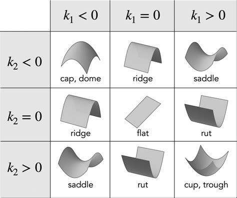A Combination Of Principle Curvatures Yields Different Shapes At A