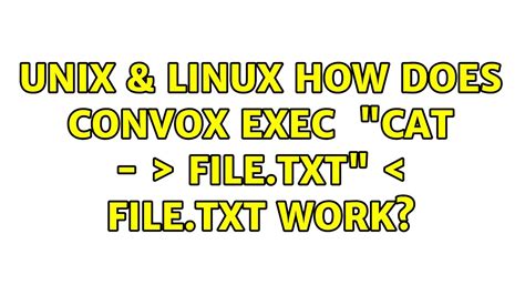 unix and linux how does convox exec ＜pid＞ cat ＞ file txt ＜ file txt
