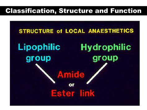 Ppt Local Anesthetics Powerpoint Presentation Free Download Id 252895