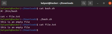 bash scripting symbols linux hint