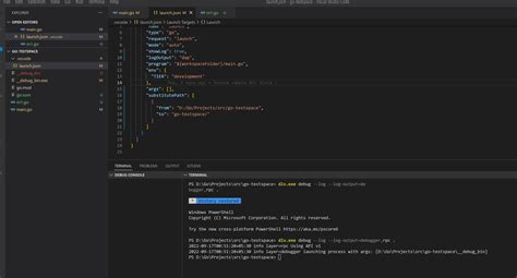 vs code breakpoint is not triggered when run in debugger mode in the