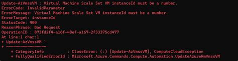 unexpected client side error while running the update instance