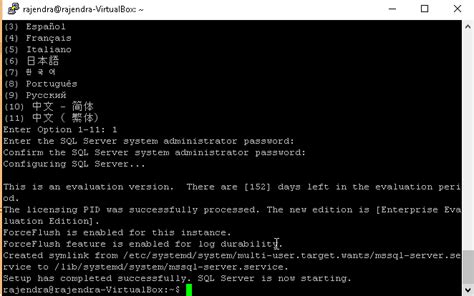 sql server 2019 installation on ubuntu without a docker