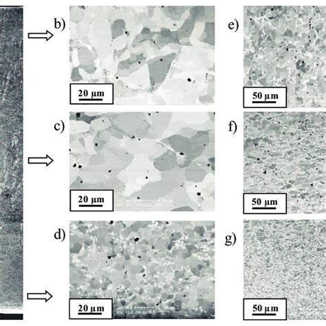 A The Microstructure In The Entire Cross Section Of The Sample