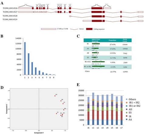 Alternative Splicing Analyses A An Example Of Arf Genes Download