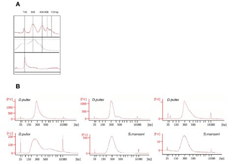Examples Of Fragmentation Profiles Of Atac Seq Libraries Before A And
