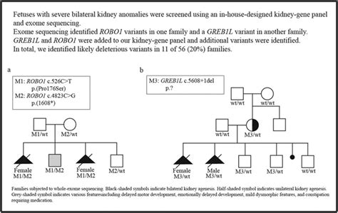 Targeted Gene Sequencing And Whole‐exome Sequencing In Autopsied