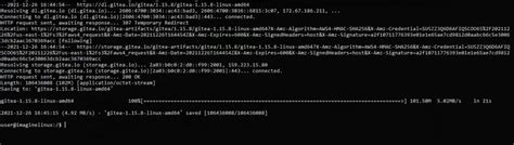 How To Install Gitea On Ubuntu 20 04 Imaginelinux