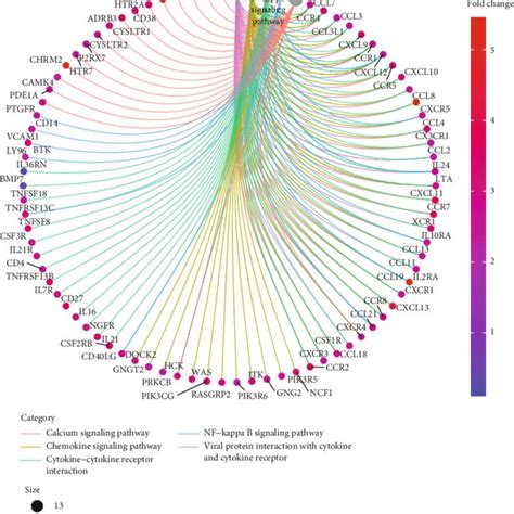 The Expression Pattern Of Degs And Their Enrichment Analysis Of Go And