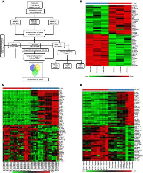Frontiers Gene Expression Profiling Reveals The Shared And Distinct