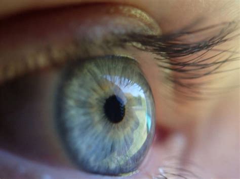 ¿qué Es La Visión Periférica Optica Guadalvisión